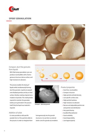 Process plant engineering GLATT | PDF