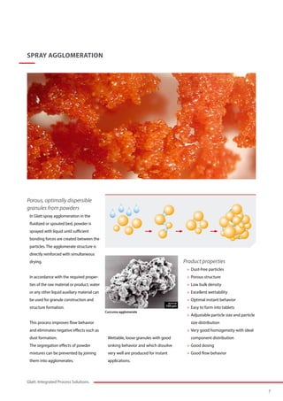 Process plant engineering GLATT | PDF