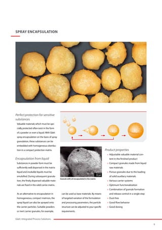 Process plant engineering GLATT | PDF