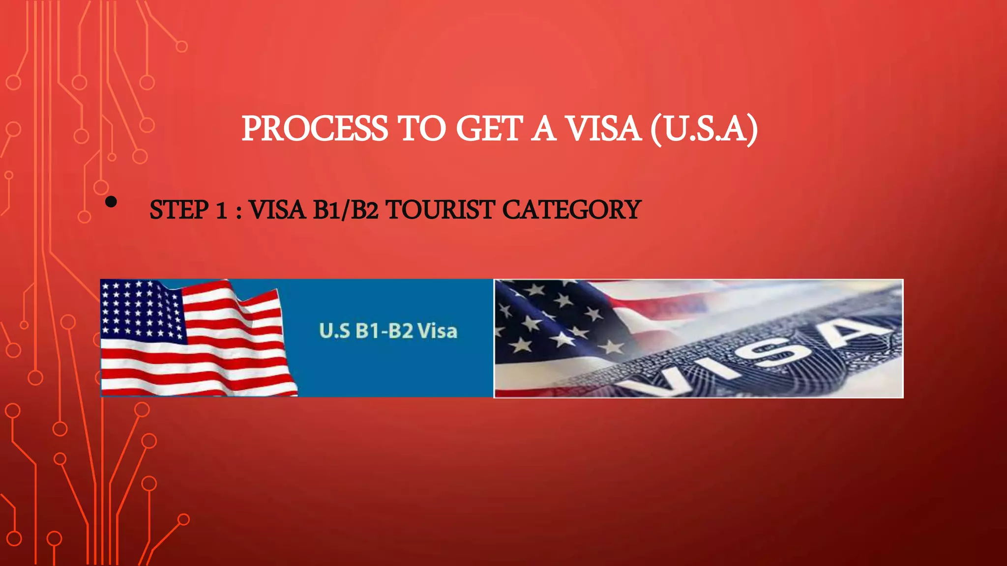 Process to get a visa | PPTX
