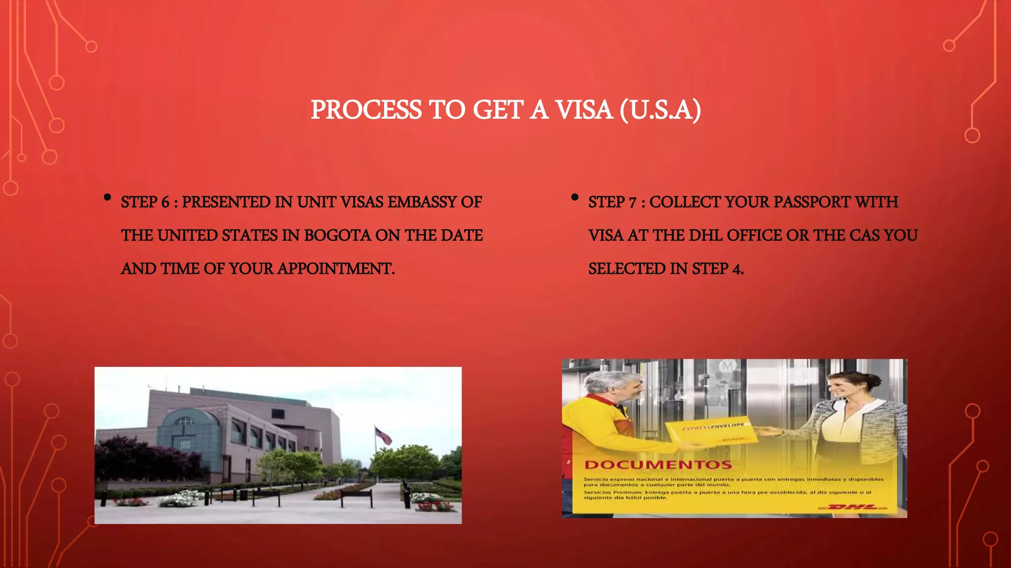 Process to get a visa | PPTX