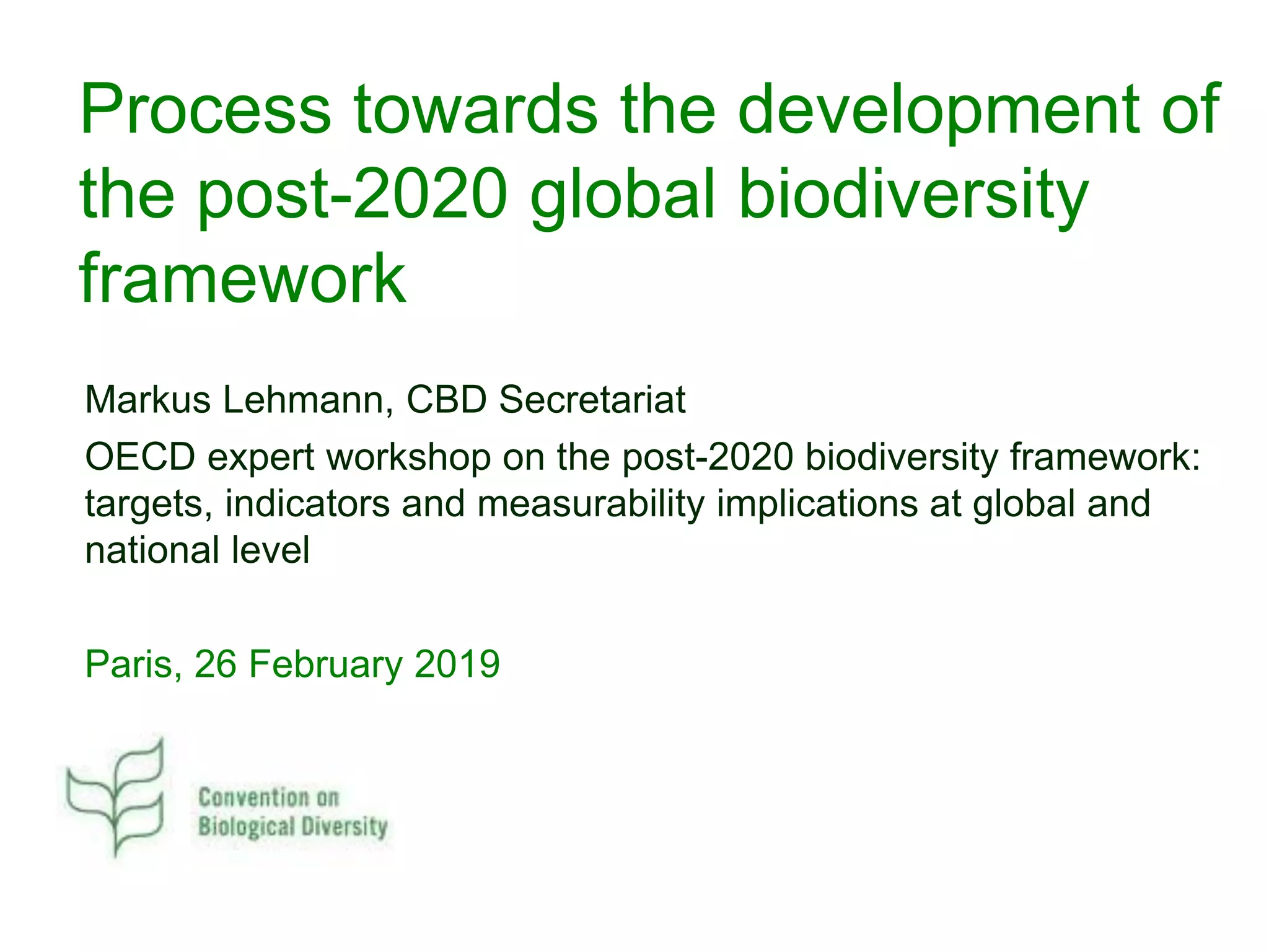 Process towards the development of The Post-2020 Global Biodiversity Framework by Markus Lehmann ...