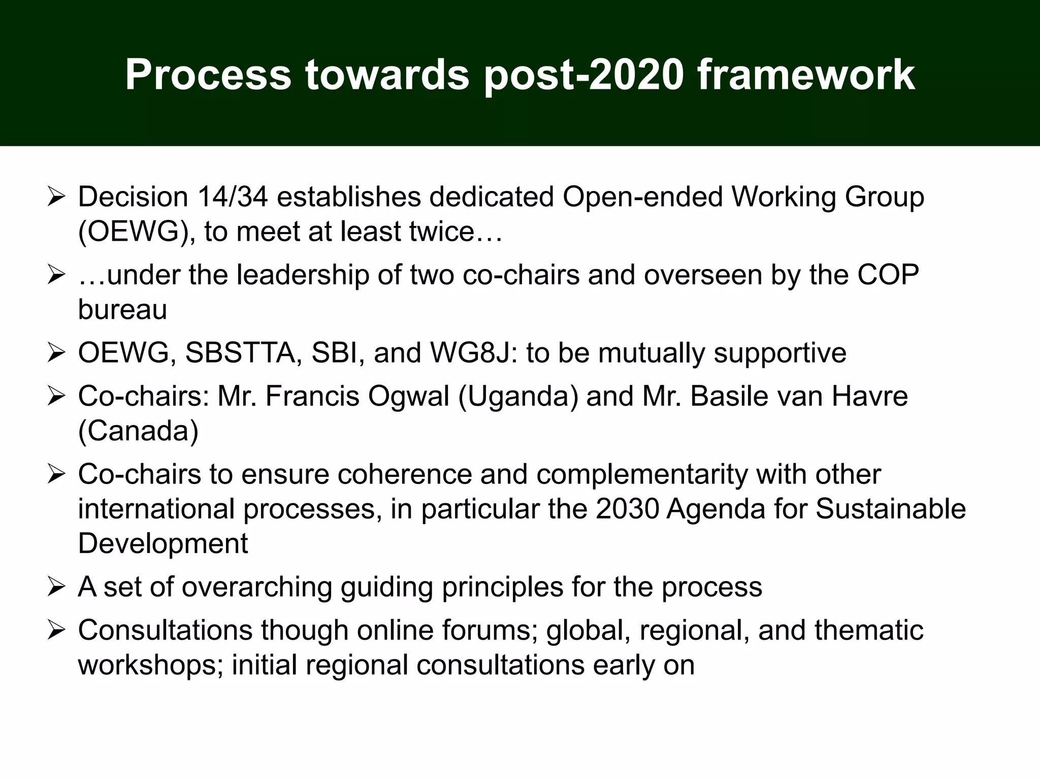 Process towards the development of The Post-2020 Global Biodiversity ...