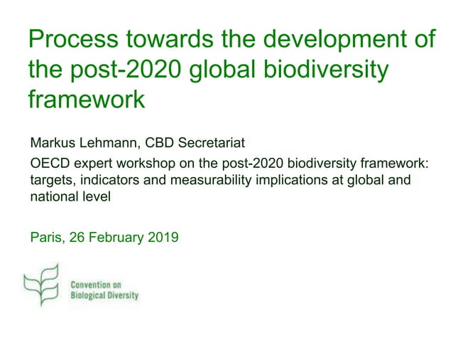 Process towards the development of The Post-2020 Global Biodiversity ...