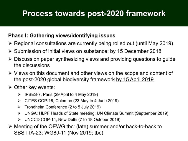 Process towards the development of The Post-2020 Global Biodiversity ...