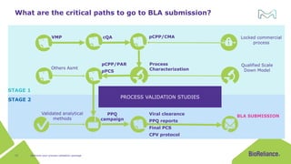 Optimize Your Process Validation Package | PDF