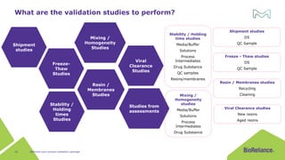 Optimize Your Process Validation Package | PDF