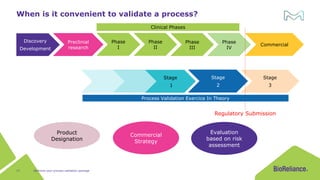 Optimize Your Process Validation Package | PDF