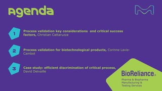 Optimize Your Process Validation Package | PDF