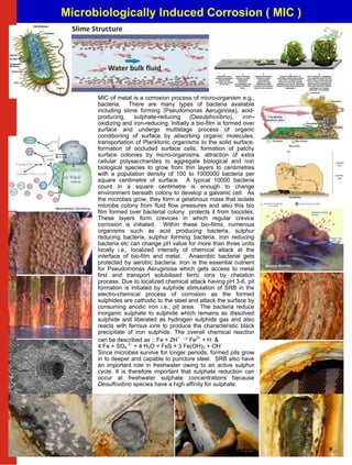 ProCoat Catalogue | PDF