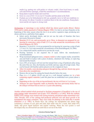 Literature Review - Breadfruit | PDF