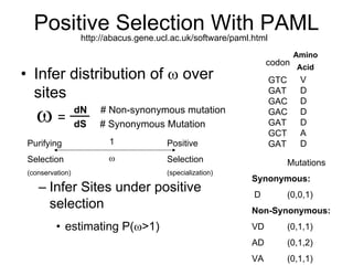 Procter Vamsas Bosc2009 | PPT