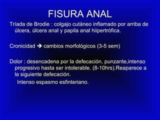 Proctologia presentaci%f3n | PPT