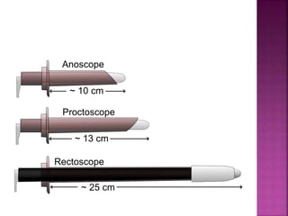 Proctoscopy | PPTX | Digestive Disorders | Diseases and Conditions
