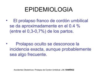 Procubito de cordon | PPT