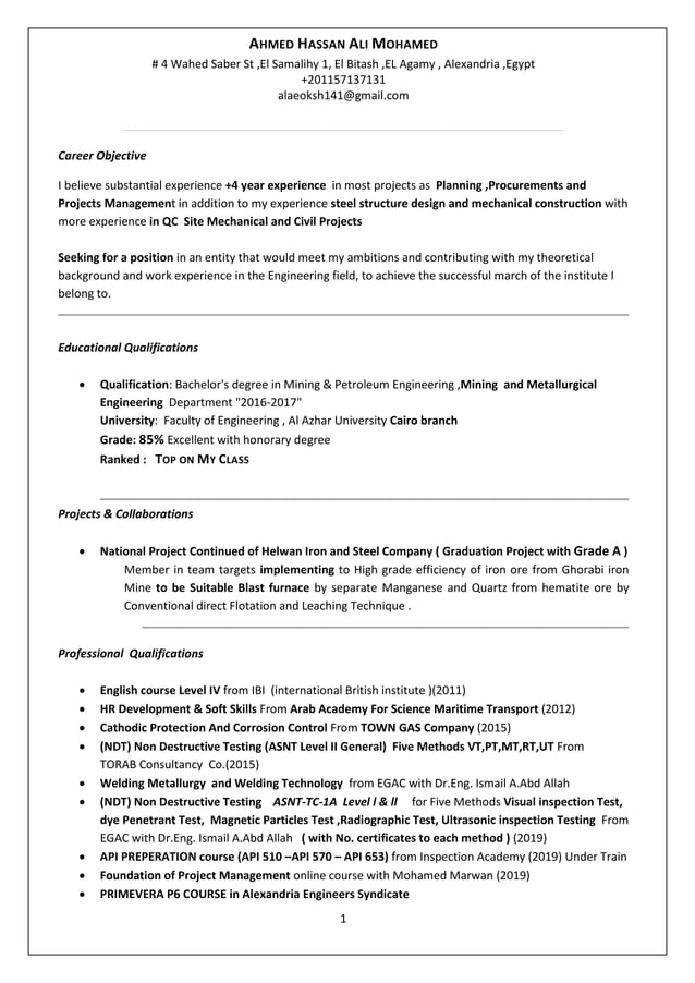 Procurement engineer cv | PDF
