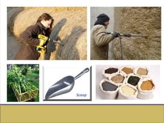 Procurement & sampling of feeding units | PPTX