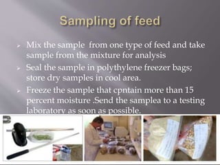 Procurement & sampling of feeding units | PPTX