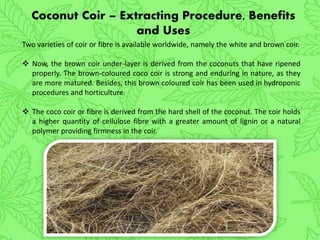 Procure the premium quality coir substrate only from riococo | PPTX ...