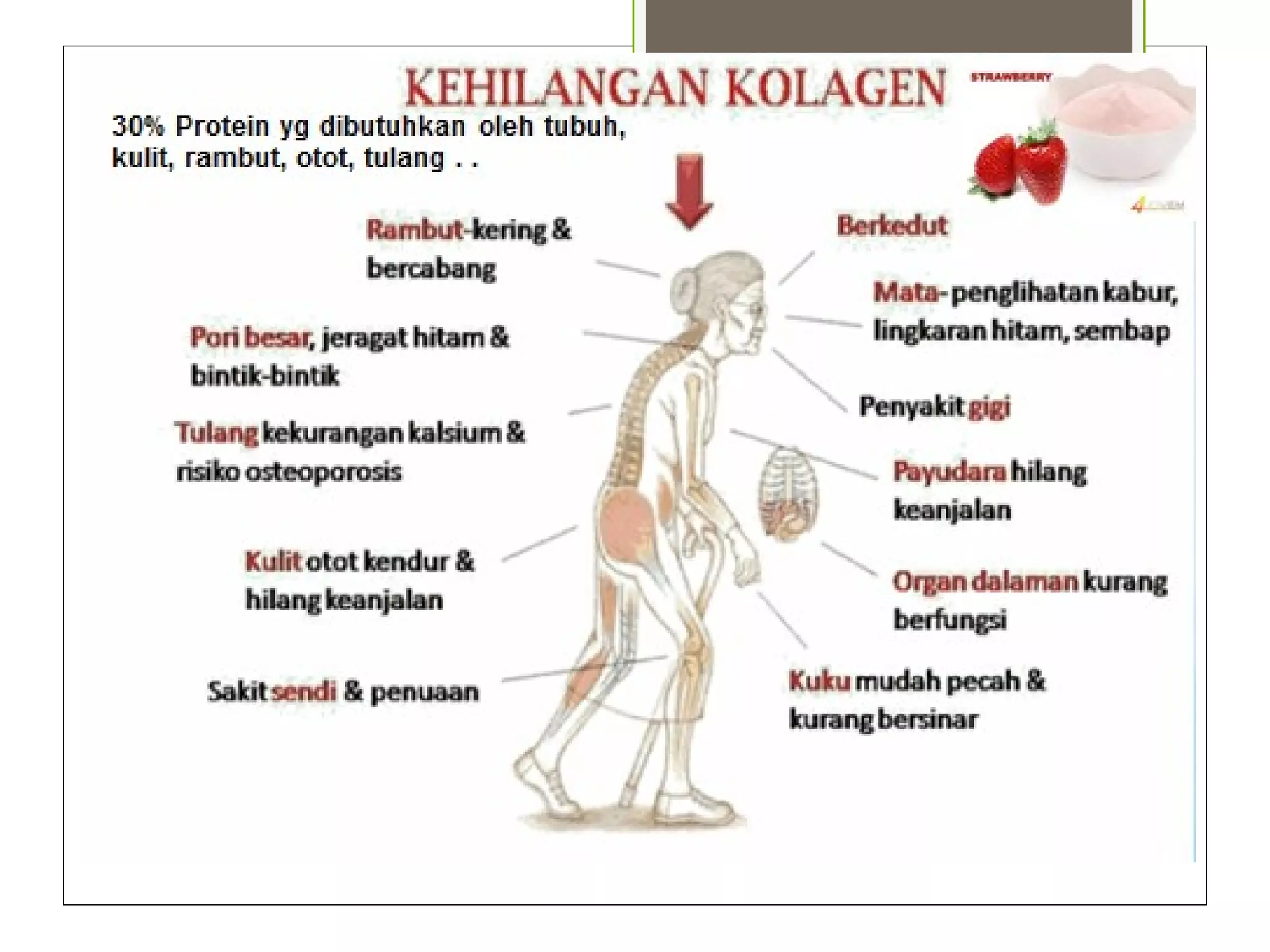 Prodak know ladge 4jovem | PPT