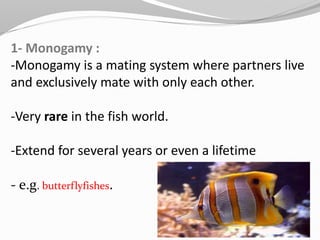 reprodective in fish 2019 | PPTX