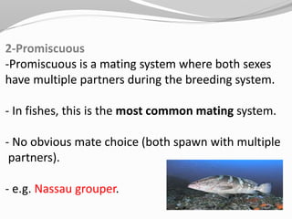 reprodective in fish 2019 | PPTX