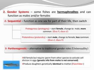 reprodective in fish 2019 | PPTX