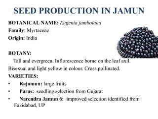 SEED PRODUCTION TECHNOLOGY OF PAPAYA, JAMUN AND AONLA | PPTX