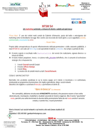 MTSM Srl - I Sarti del marketing e della comunicazione | PDF | Business ...