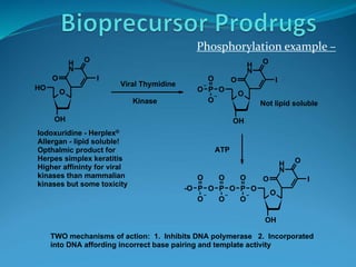 Prodrug | PPT