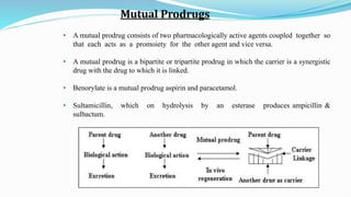prodrug-.pptx Medicinal chemistry 7 SEMESTER | PPTX