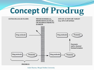 Prodrug new | PDF