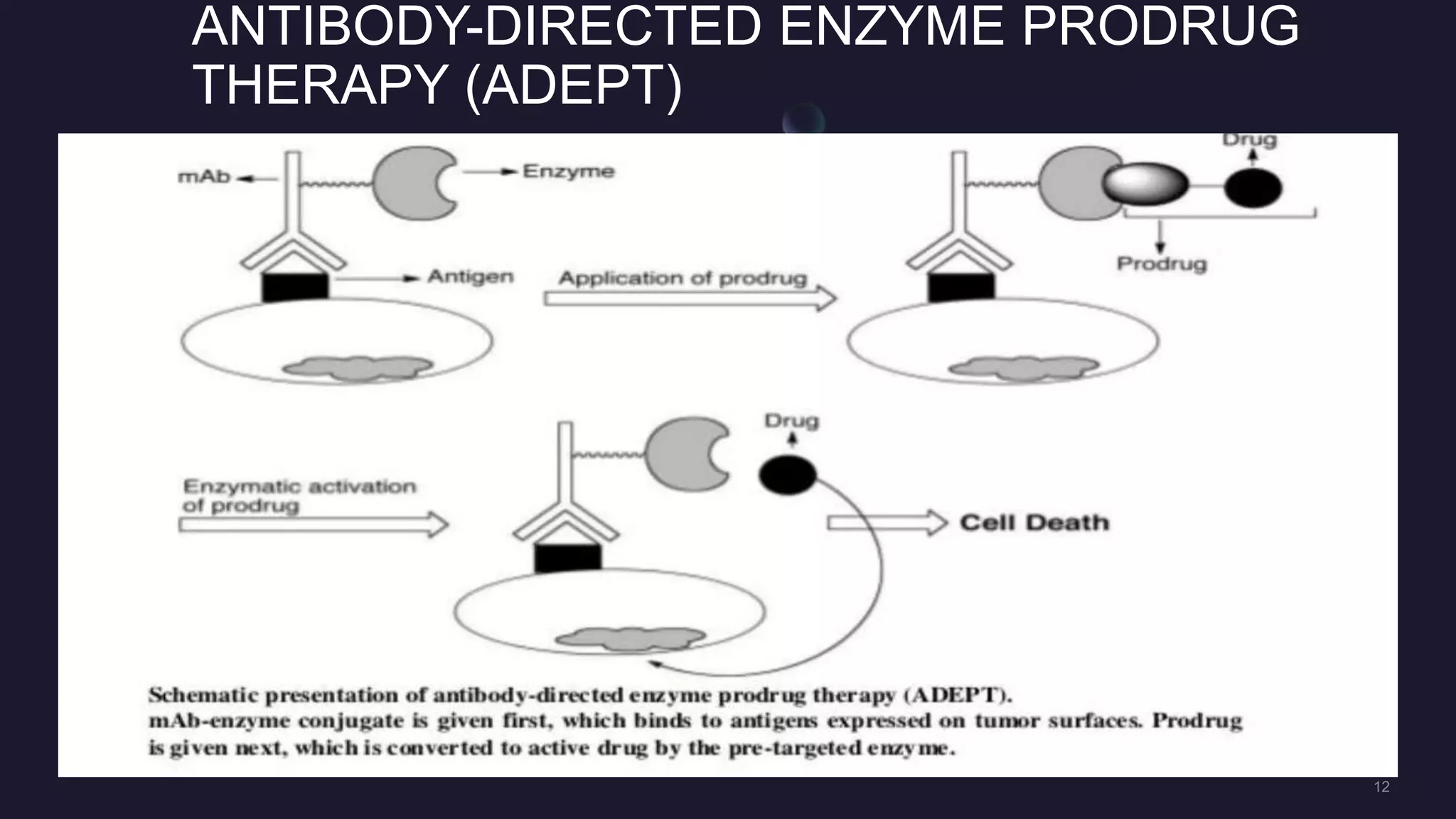PRODRUG PRESENTATION.pptx