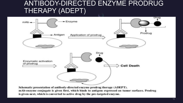 PRODRUG PRESENTATION.pptx