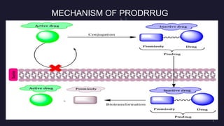 PRODRUG PRESENTATION.pptx