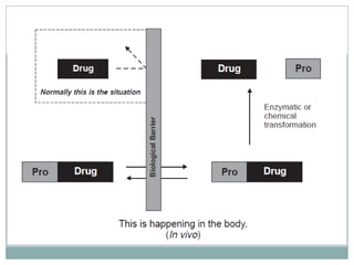 Prodrug | PDF