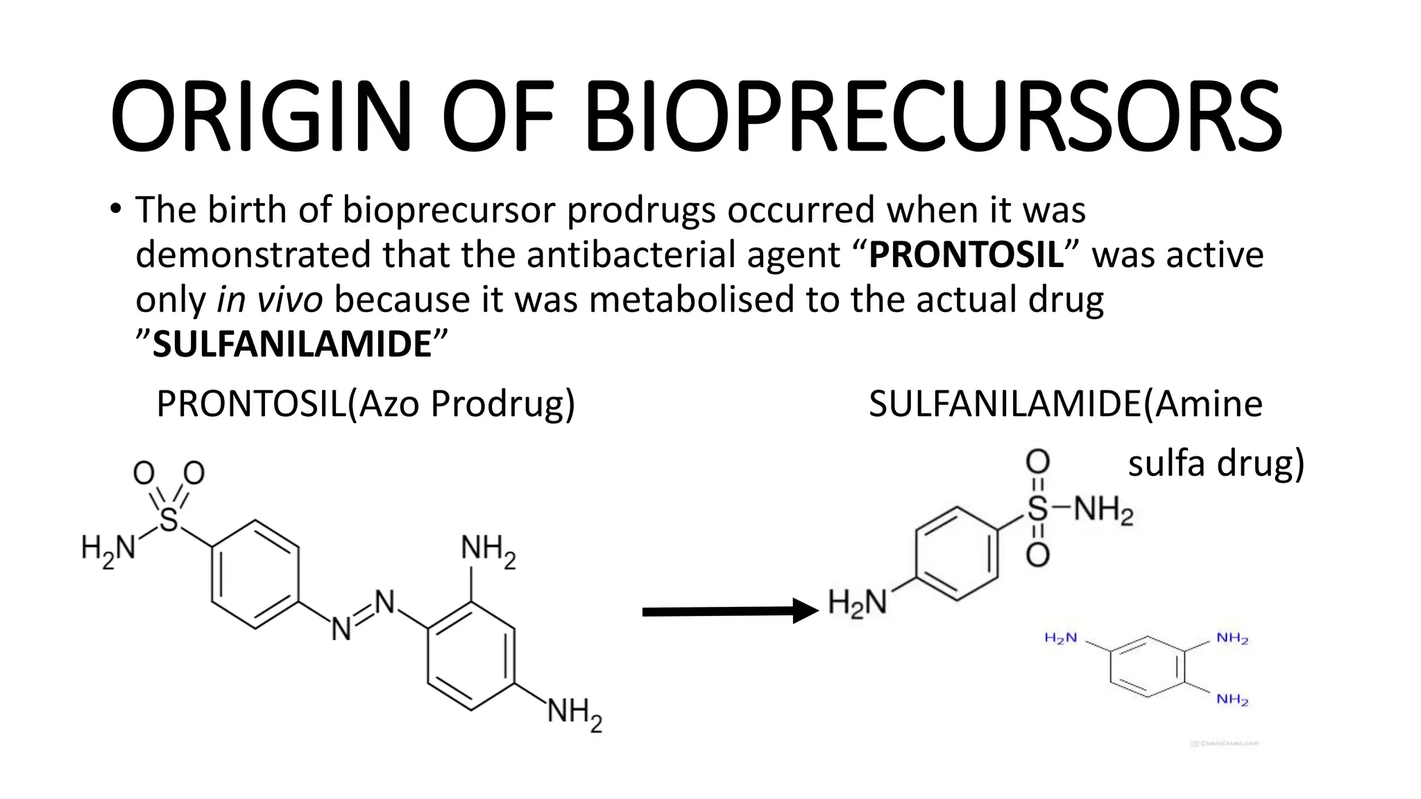 BIOPRECURSOR PRODRUGS | PPTX
