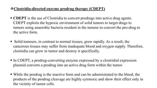 Prodrugs - concept & Applications | PPTX