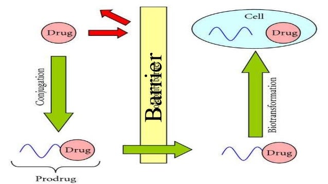 Prodrugs - concept & Applications
