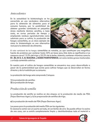 Producción de hongo seta 1 | PDF