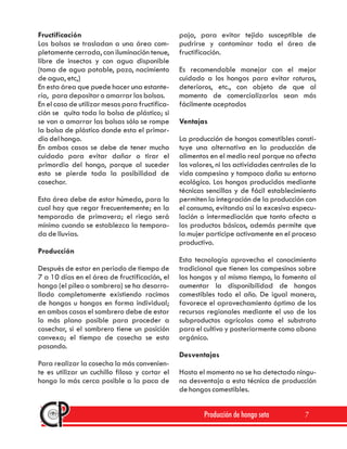 Producción de hongo seta 1 | PDF