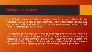 Producción Equina III.pdf
