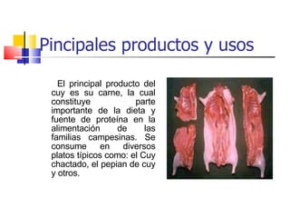 Produccion De Cuyes | PPT