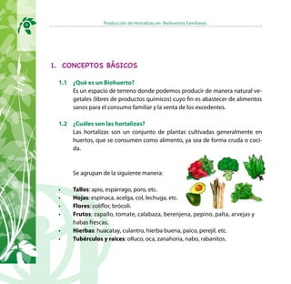 Produccion hortalizas-en-biohuertos-familiares (1) | PDF