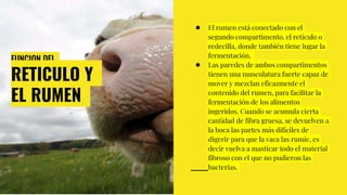 Producción Animal | PPTX