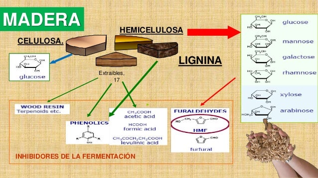 Produccion bioetanol lignocelulosico