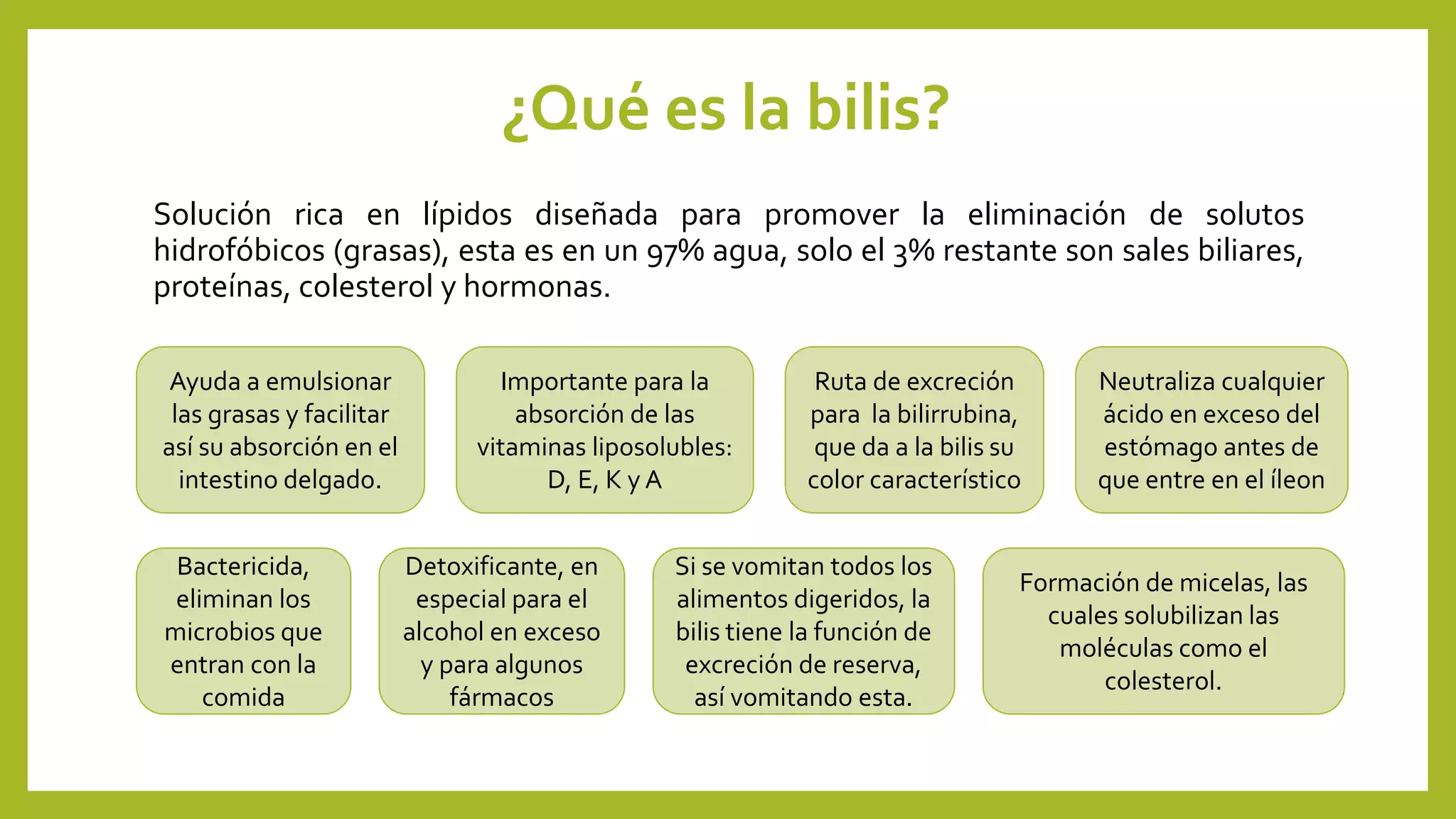 Produccion de bilis | PPTX