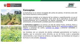 Produccion de hortalizas loreto | PPT