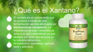 Produccion del Xantano.pptx