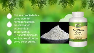 Produccion del Xantano.pptx